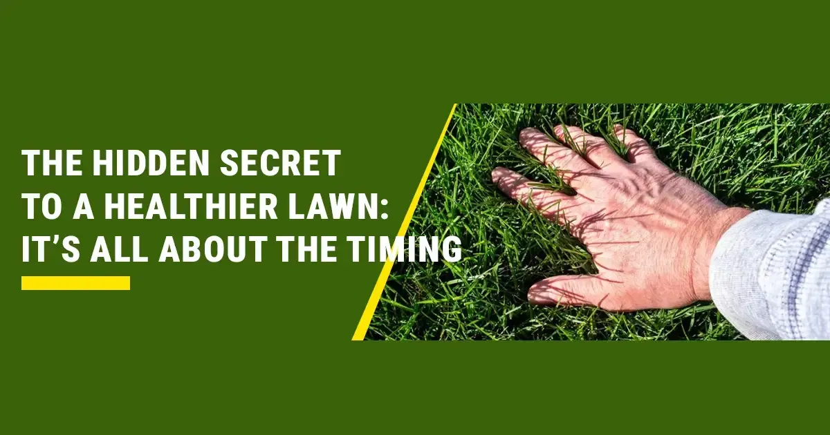 The Lawn Care Integration Revolution: How Holistic Yard Management ...