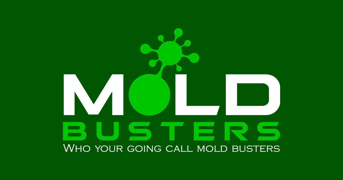 Mold Removal Services | Mold Busters | Cincinnati, Columbus & Dayton, OH
