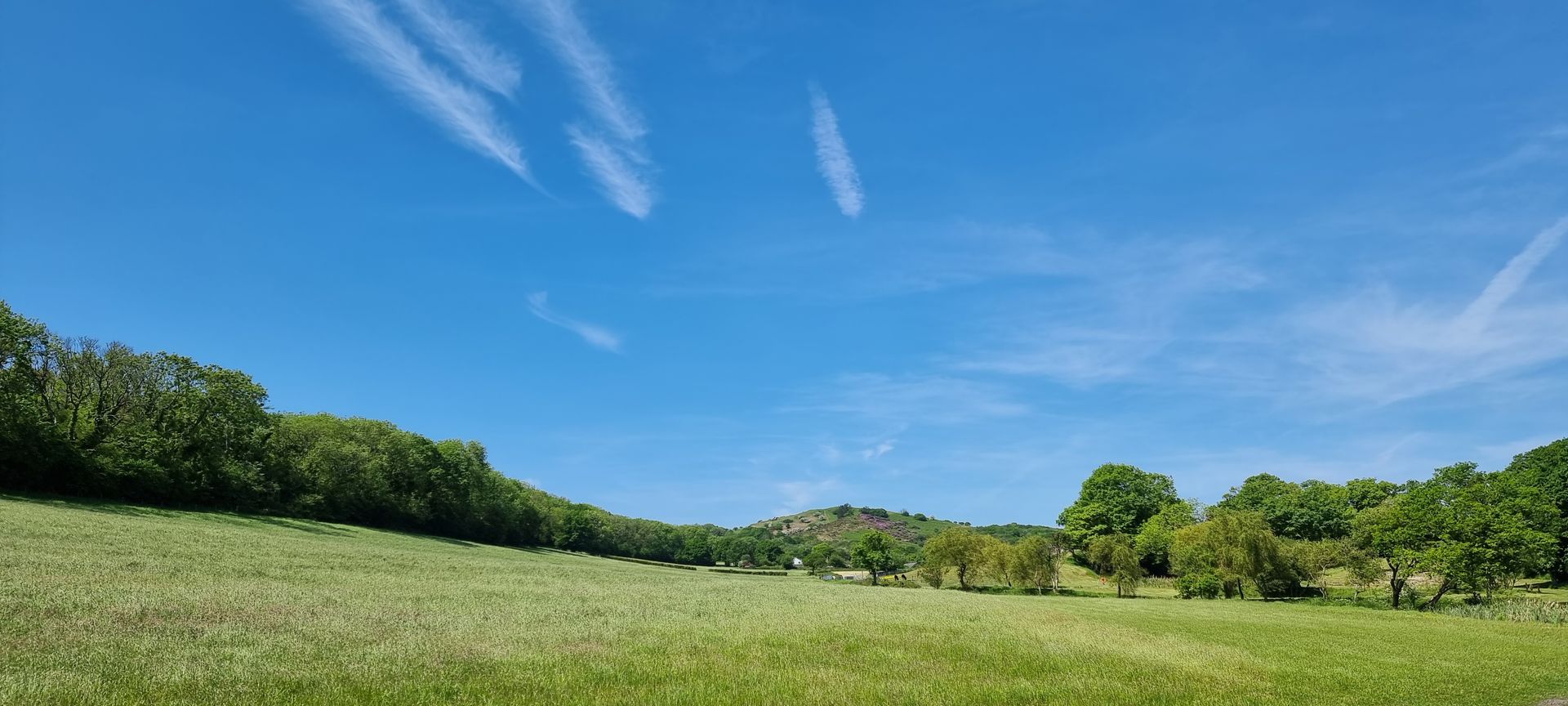 Camping Holidays in Dorset | 80 Electric Pitches | East Creech Farm ...
