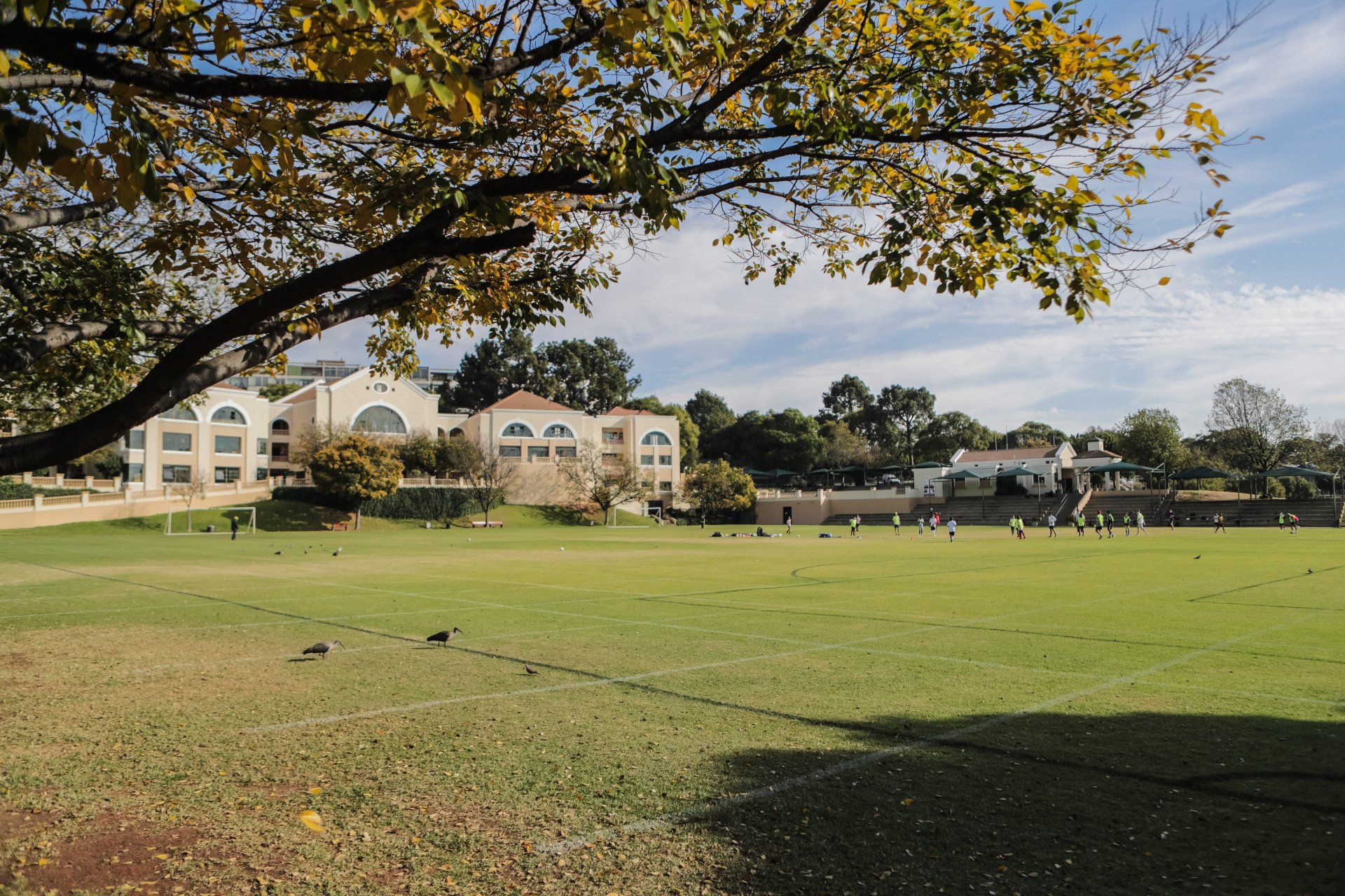 Primary School In Sandton | Private Sandton Primary School | Crawford ...