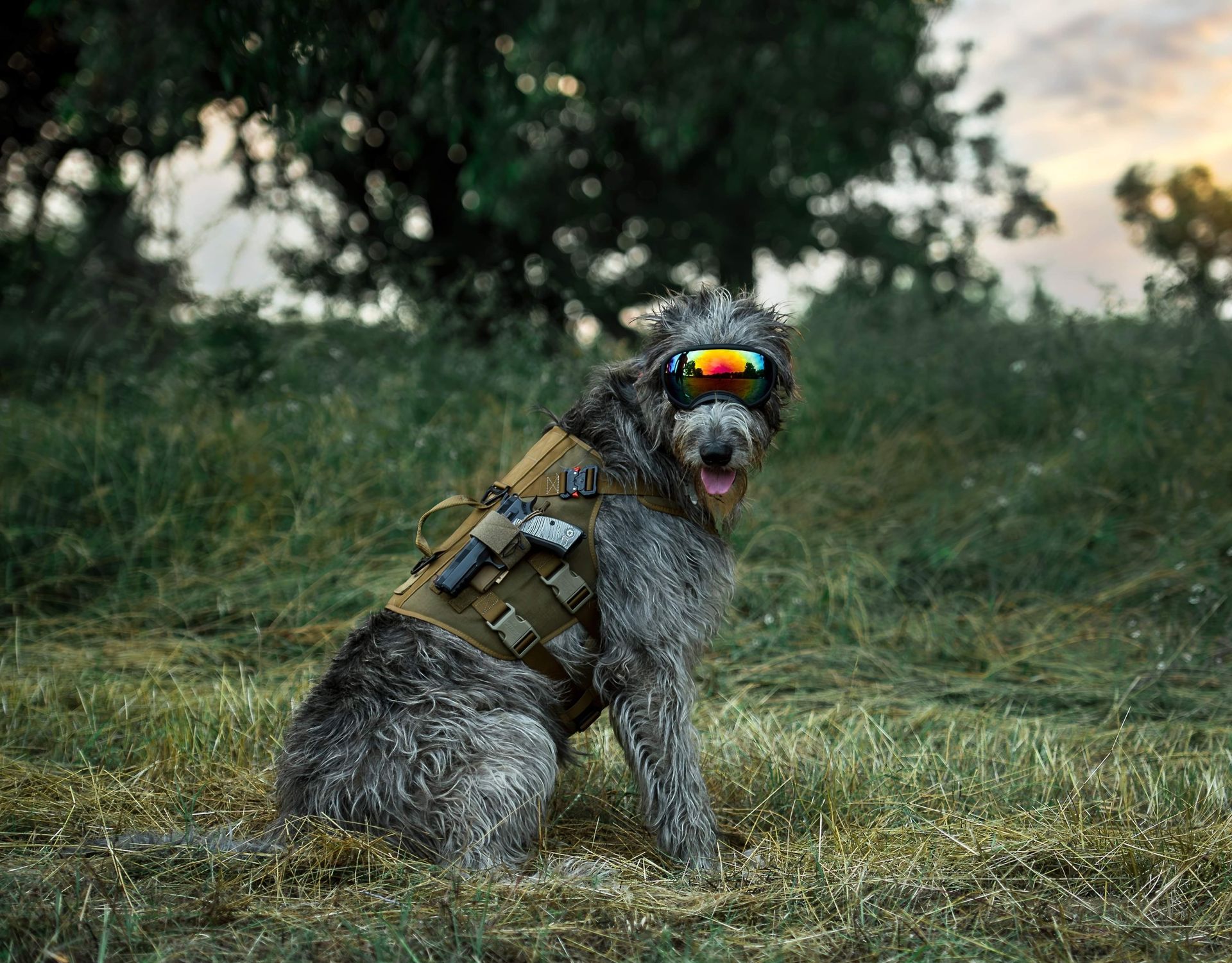 Celina Gun Shop | Full service shop for all of your gun needs