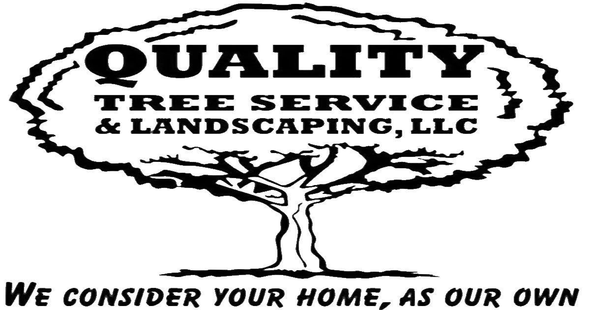Tree Service & Landscaping | Quality Tree | Elizabeth, PA