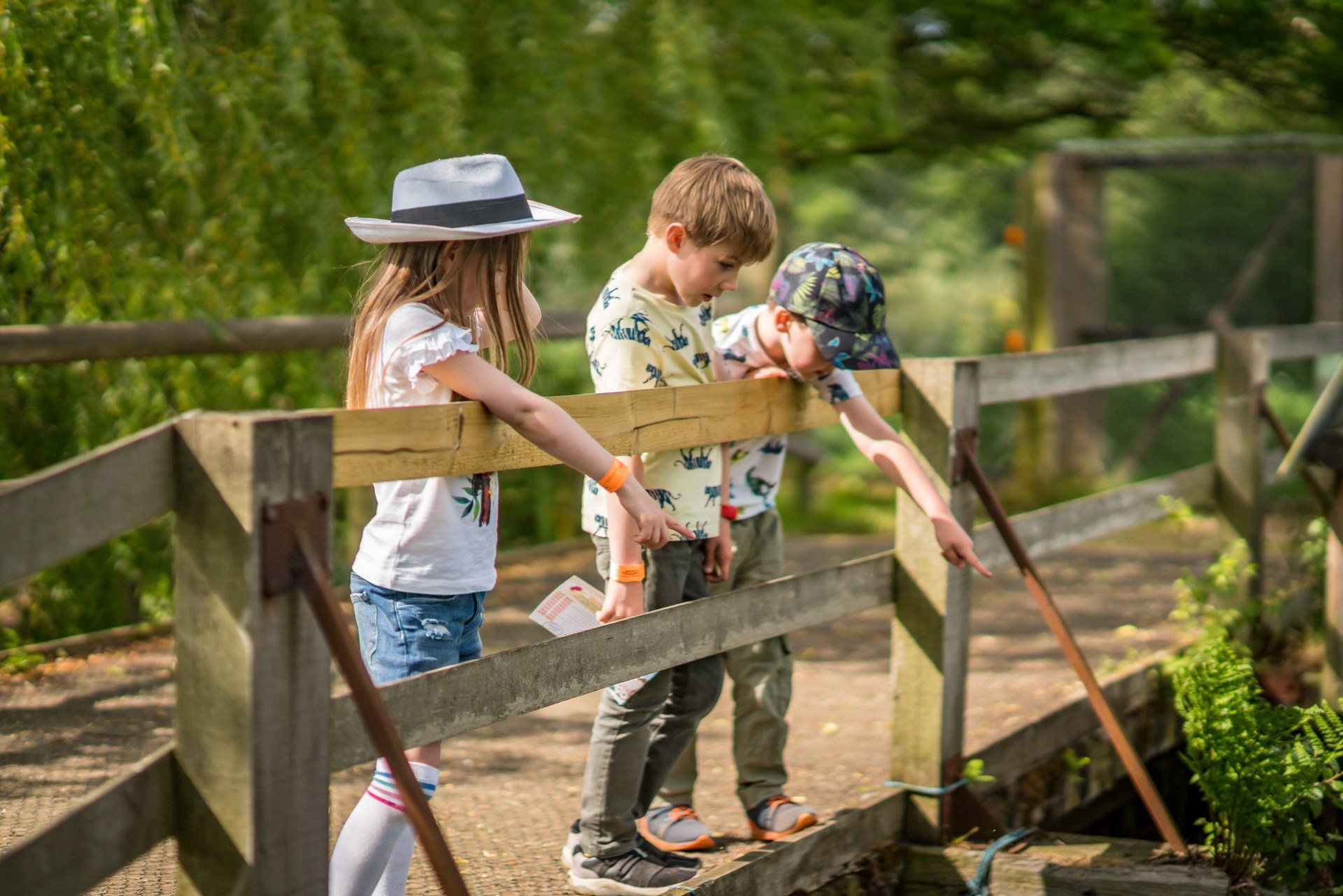 Norfolk & Suffolk Tourist Attractions - Norwich, Norfolk - Animals ...