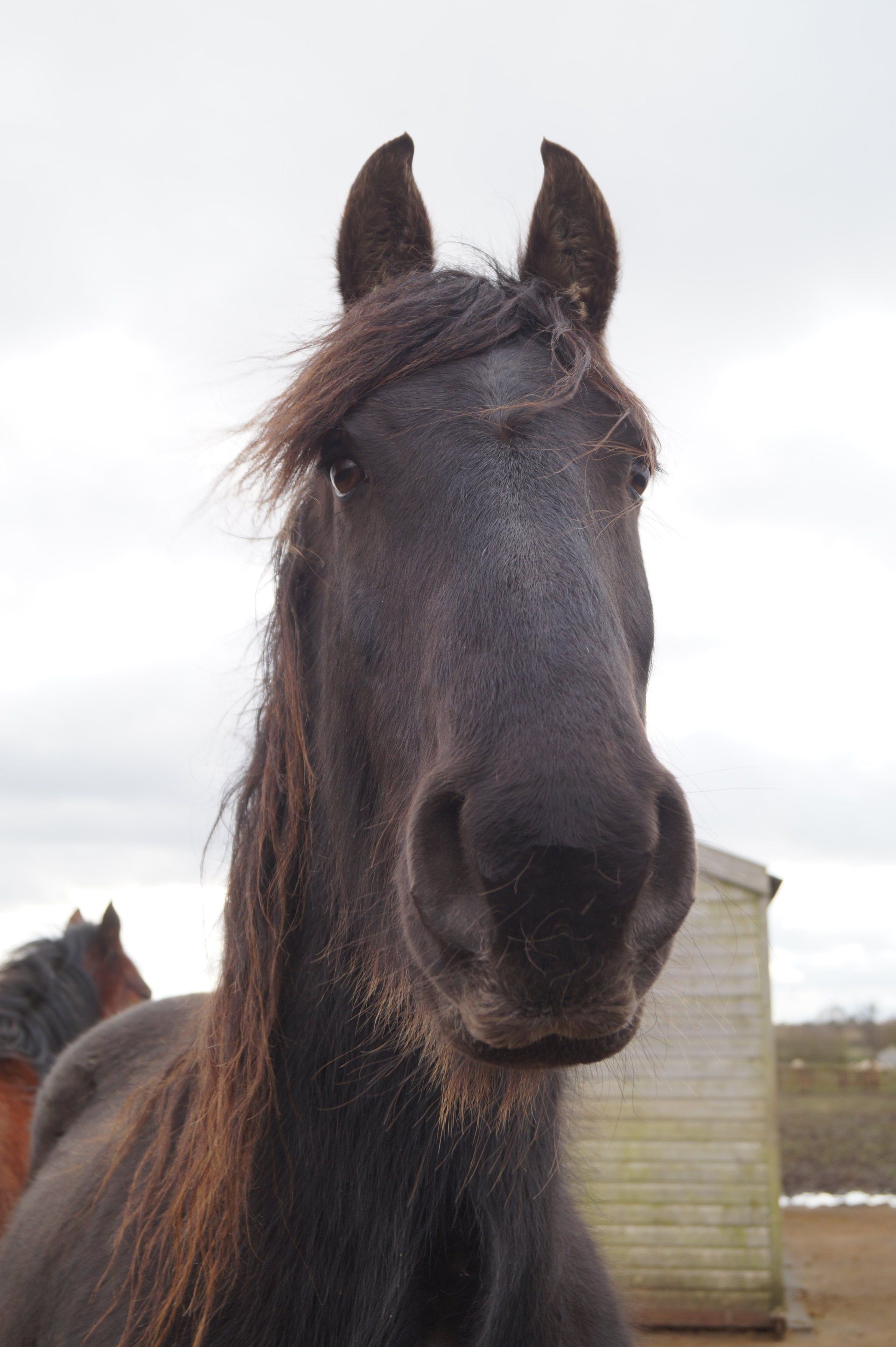 Norfolk & Suffolk Tourist Attractions - Norwich, Norfolk - Animals ...