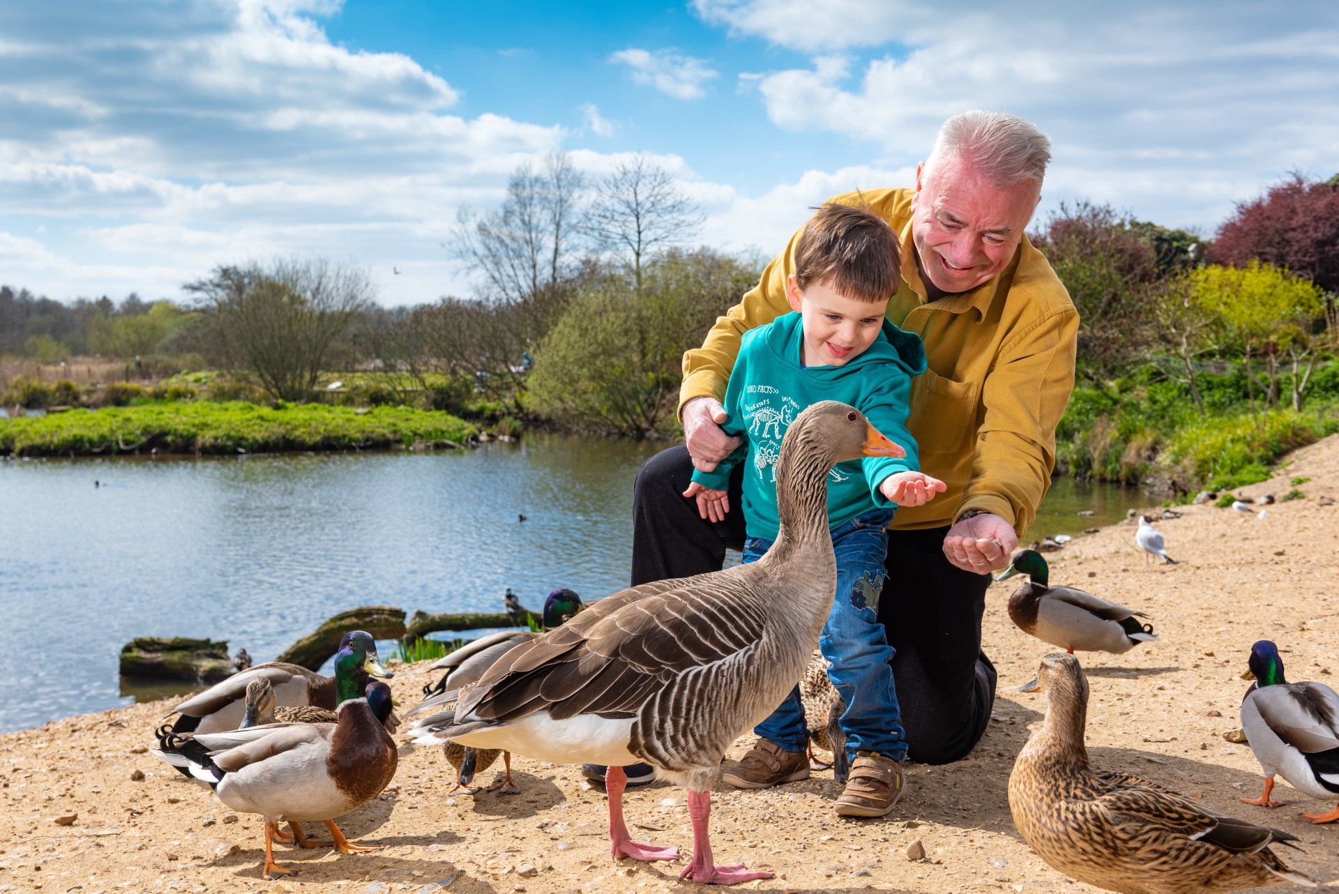 Norfolk & Suffolk Tourist Attractions - Norwich, Norfolk - Animals ...