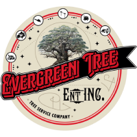 Tree Services | Evergreen Tree Enterprise