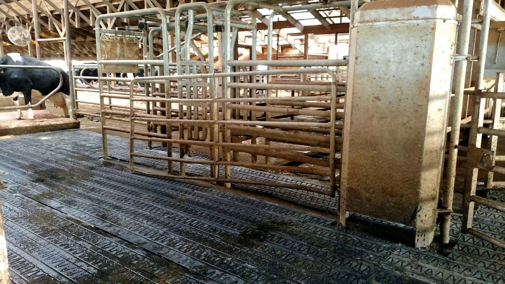 Gallery | Gabel Belting, Inc. | Rubber Footing