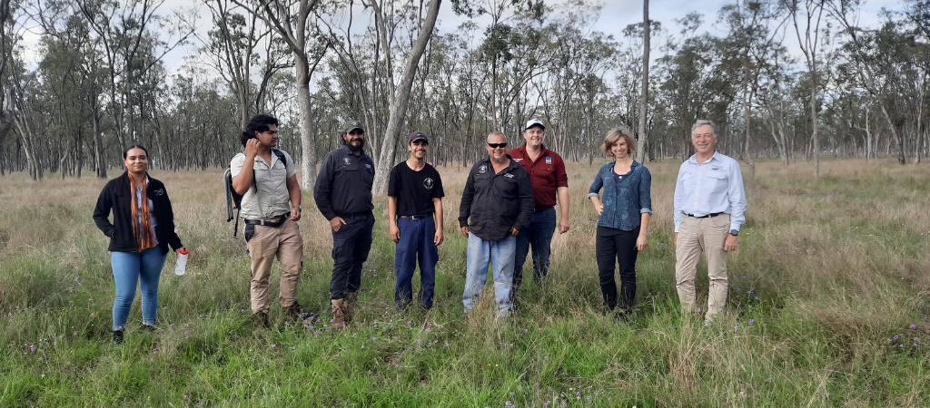 Brigalow Belt poised to bounce back thanks to plan