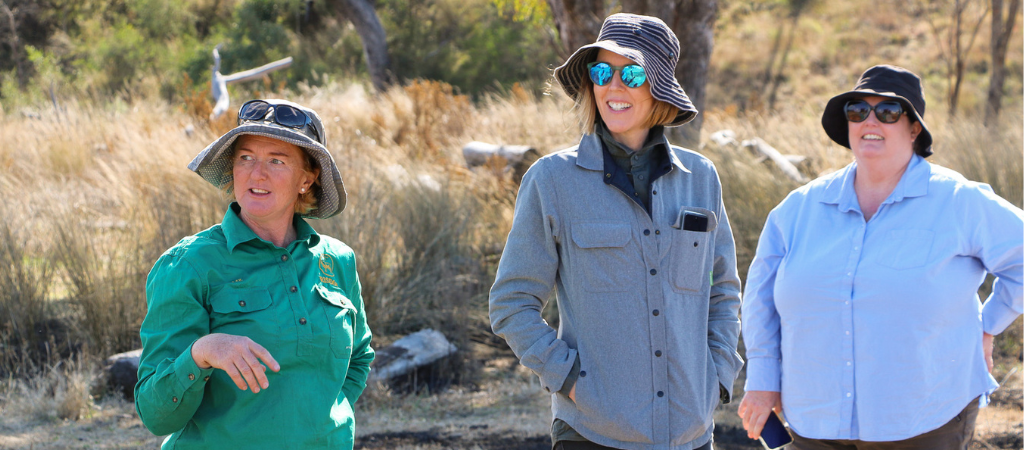 How Camels and Cool Burns are Transforming Risdon Stud