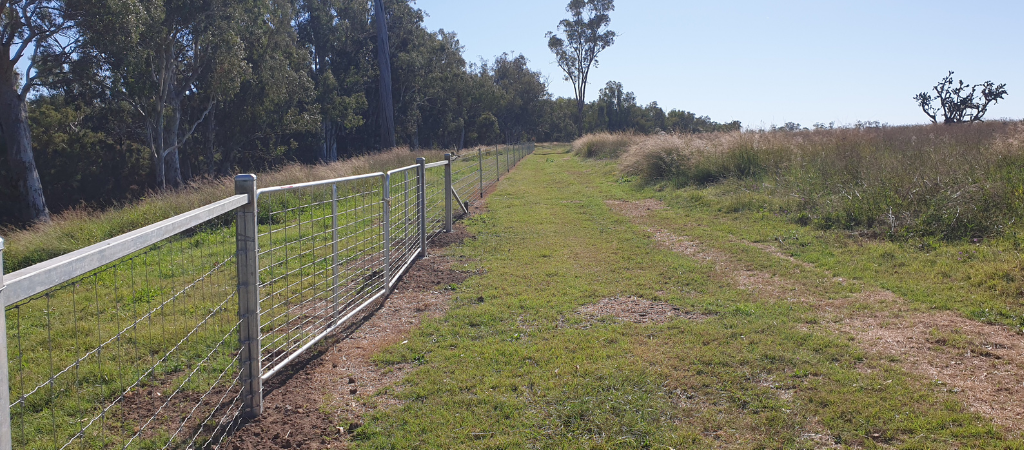 Macintyre Brook on road to recovery following fencing project