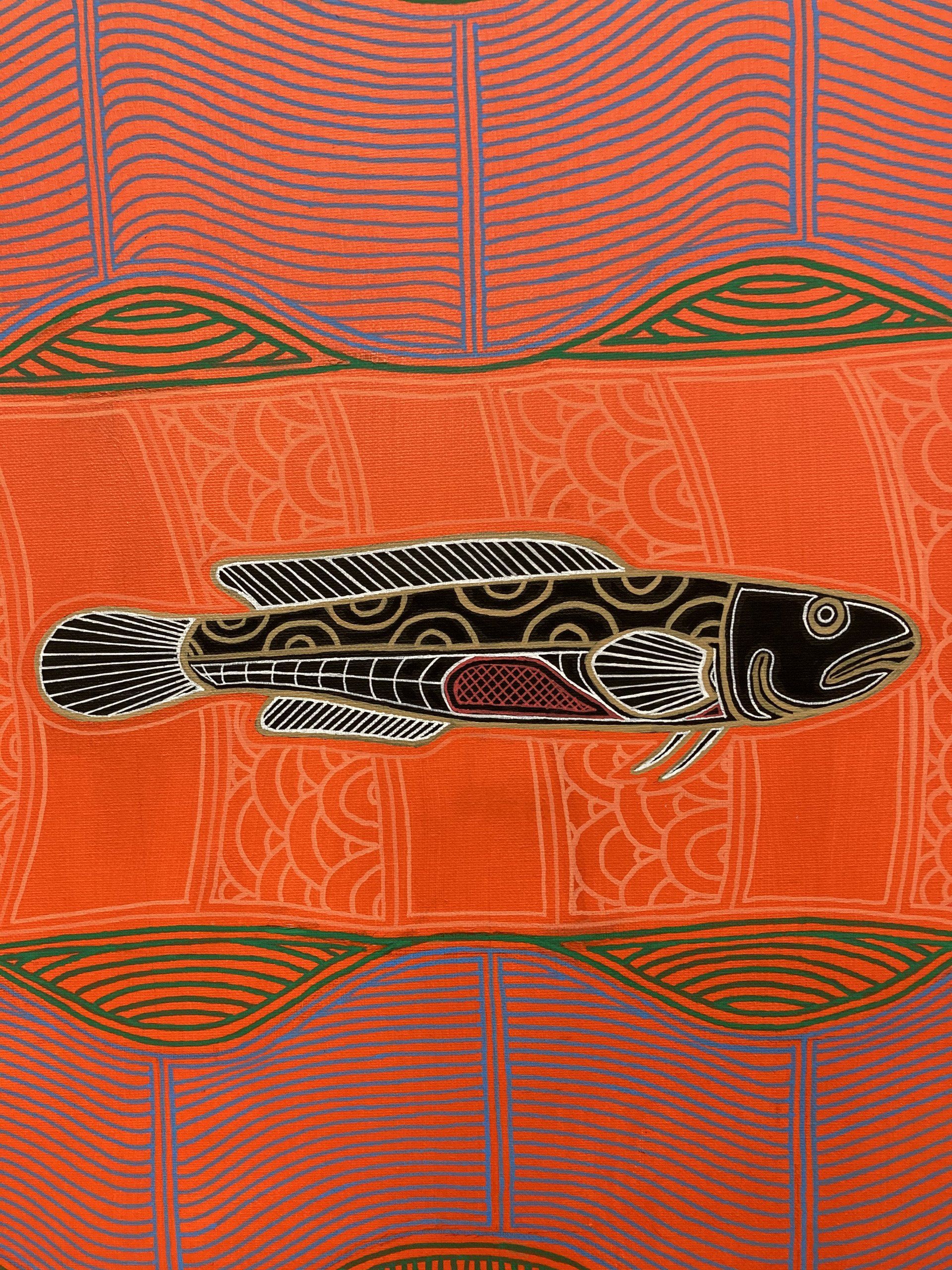 Blackfish Project: Condamine Headwaters Recovery Reach