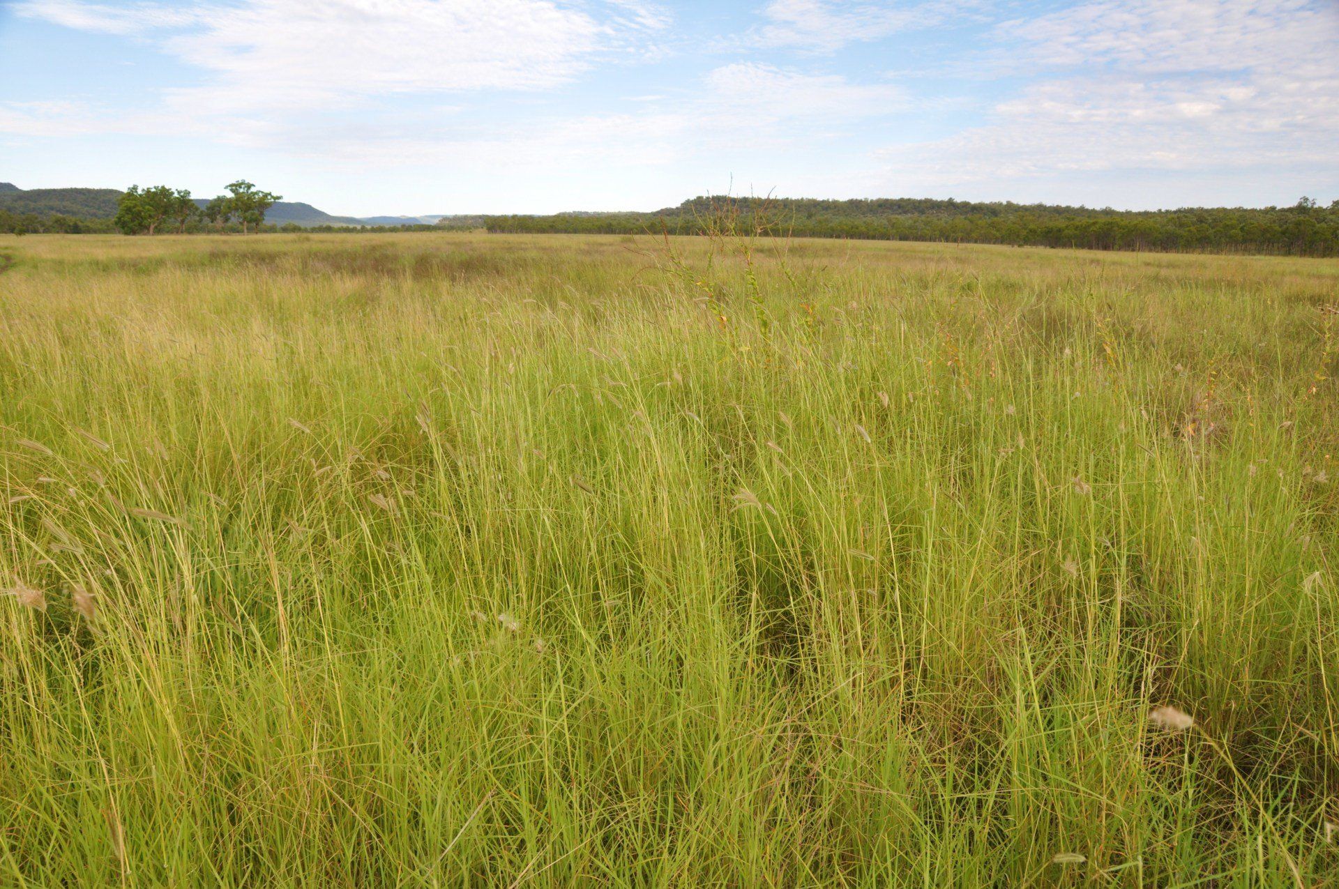 Environment Project | Southern Queensland Landscapes