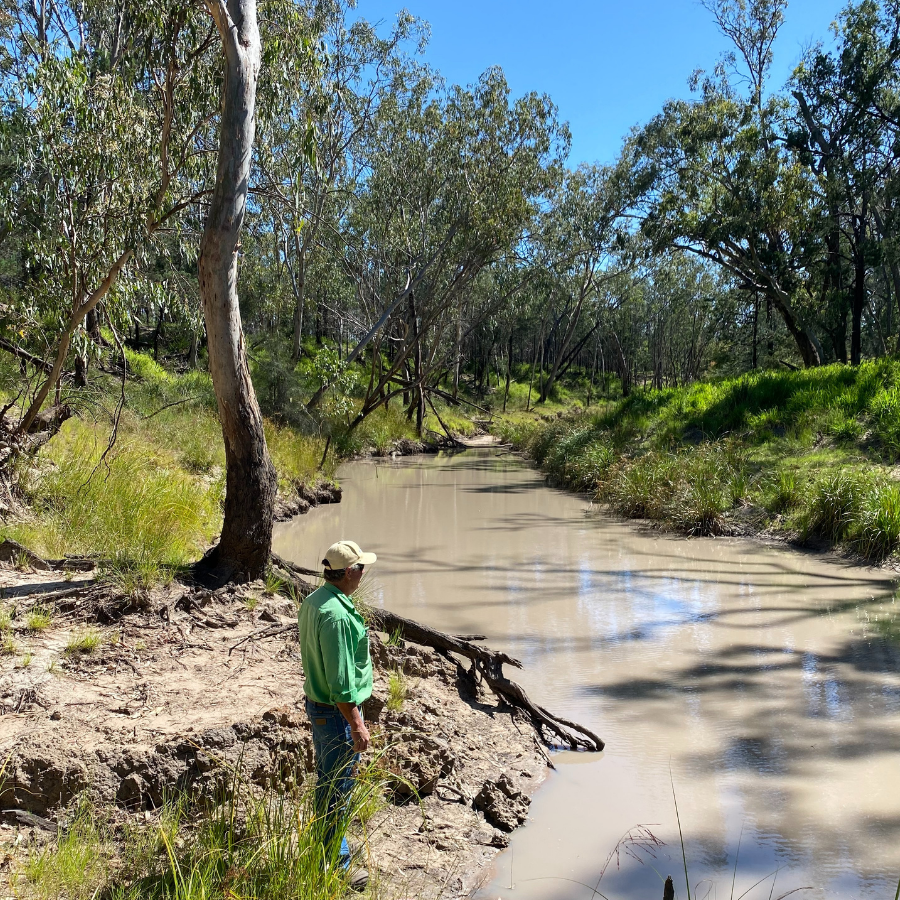 Millions of fish to benefit in northern Murray-Darling Basin rivers