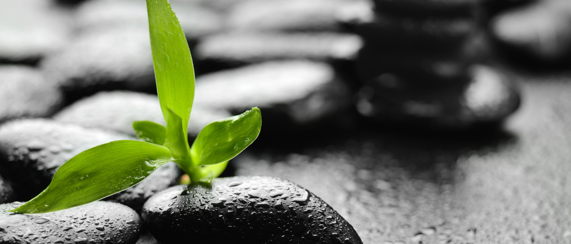 Lessons From Tony Robbins’ Business Mastery Seminar