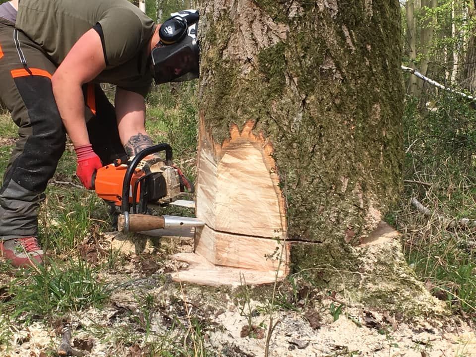 Tree Felling Wirral | Stump & Tree Root Removal Wirral