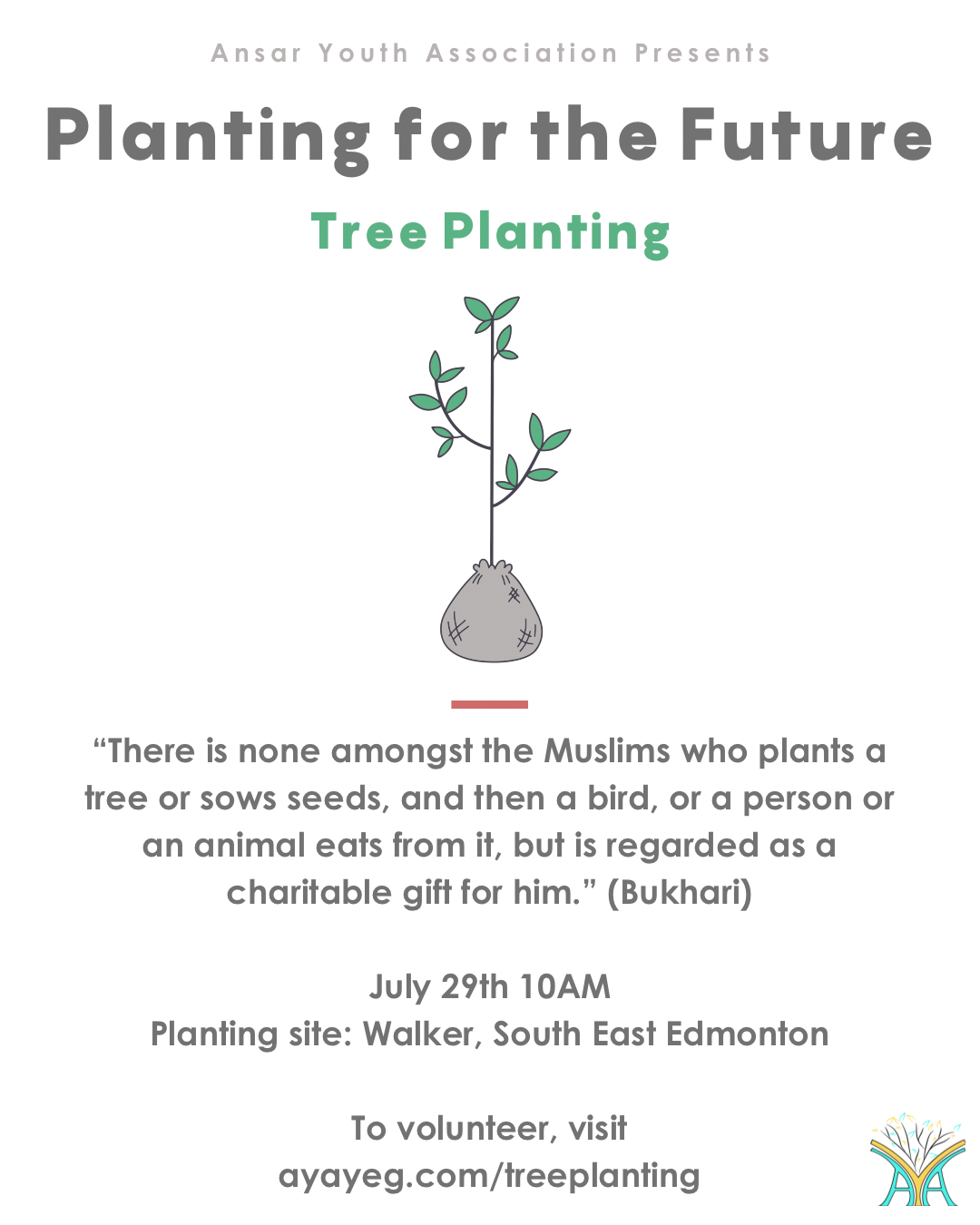 Planting for the Future: Tree Planting