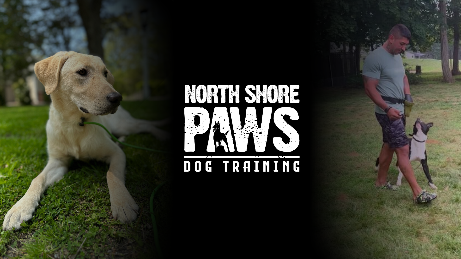 In-Person Training on Long Island | North Shore Paws Dog Training