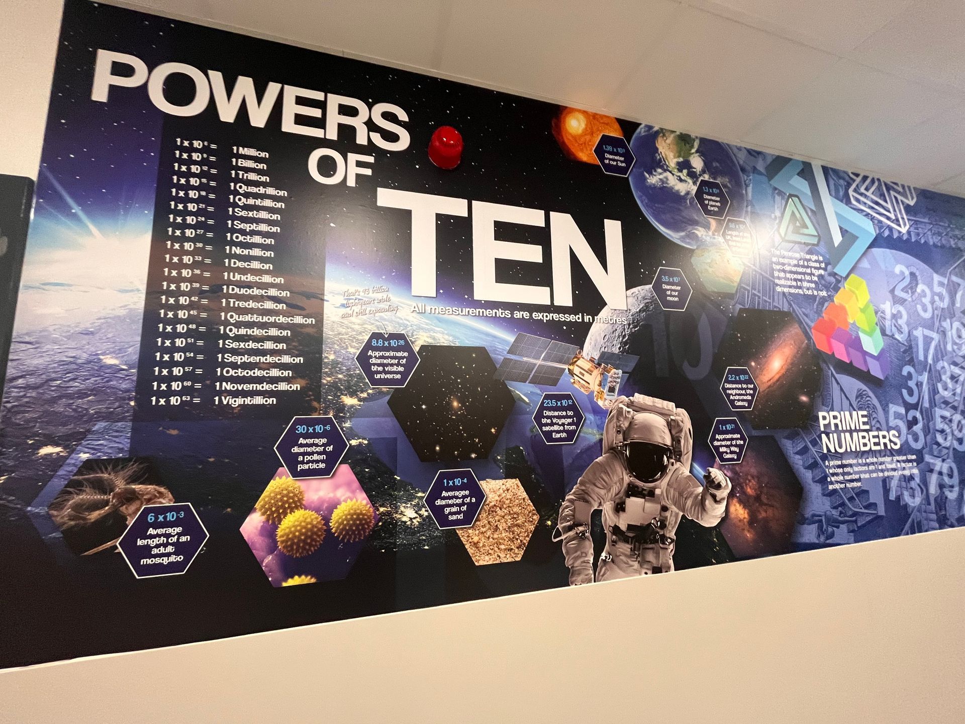 School Wall Graphics | Wall Art graphic | Walls Arts visual Service ...