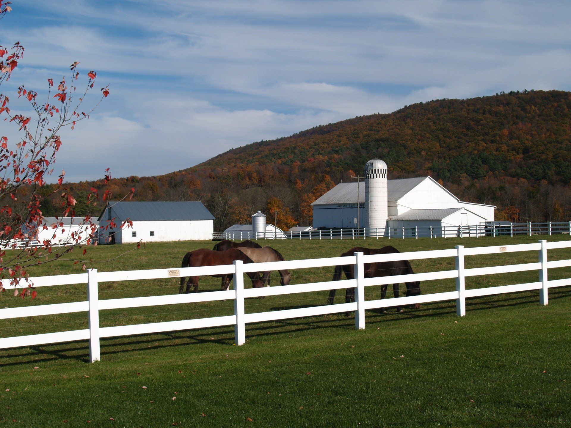 Farm-Nature-Wildlife Tour