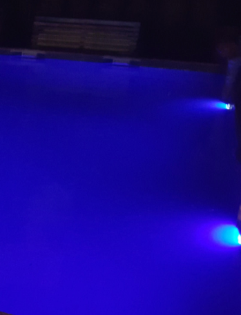 Upgrade Your Pool with LedecSun Solar LED Pool Lights on the Sunshine Coast