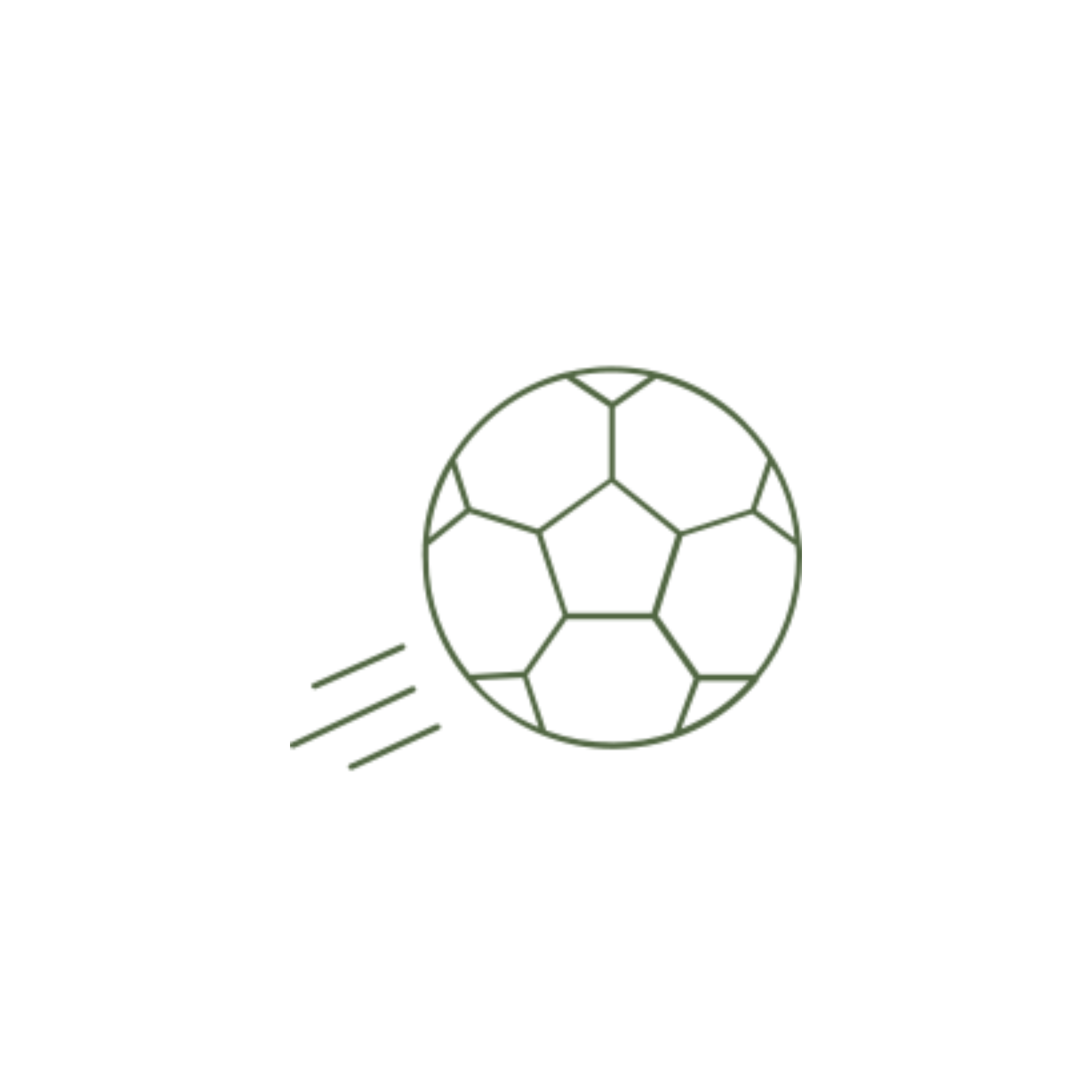 Food, Fun and Adventure in Lula, GA | Timberline Glamping