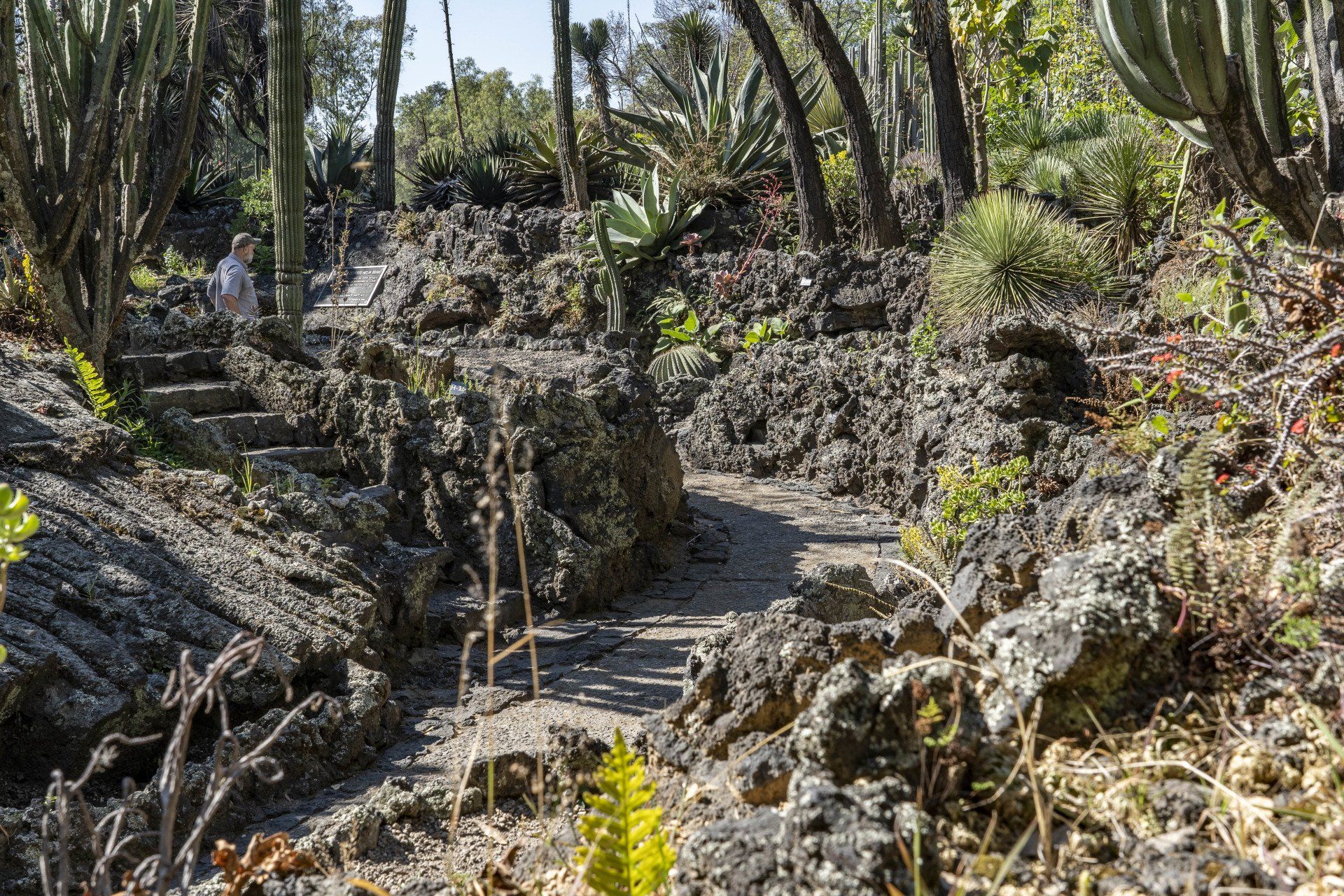 Unam Botanical Garden (Mexico City)