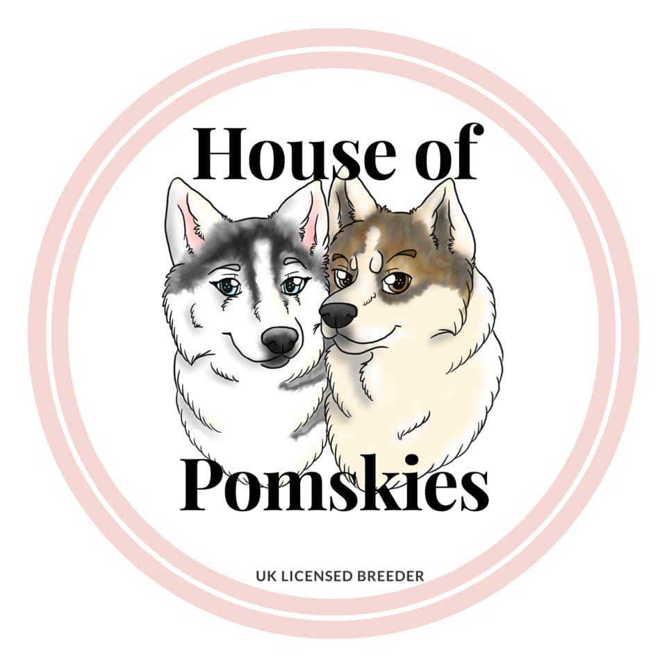 UKPA Approved UK Pomsky Breeders