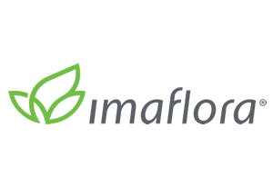 Oficina Escola de Lutheria da Amazônia| OELA