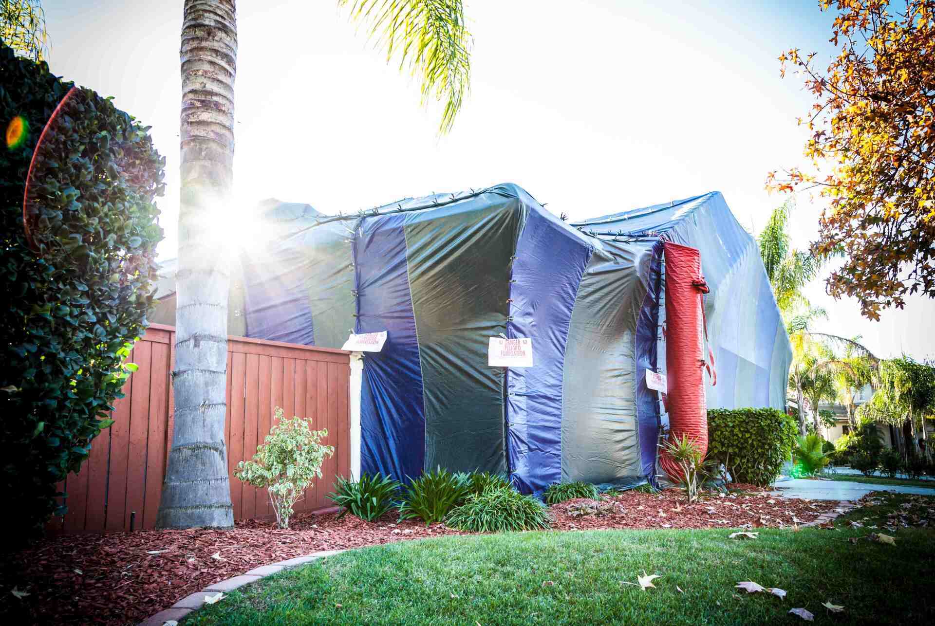 Woody's Termite Control - Top Rated Termite Control - Los Angeles ...