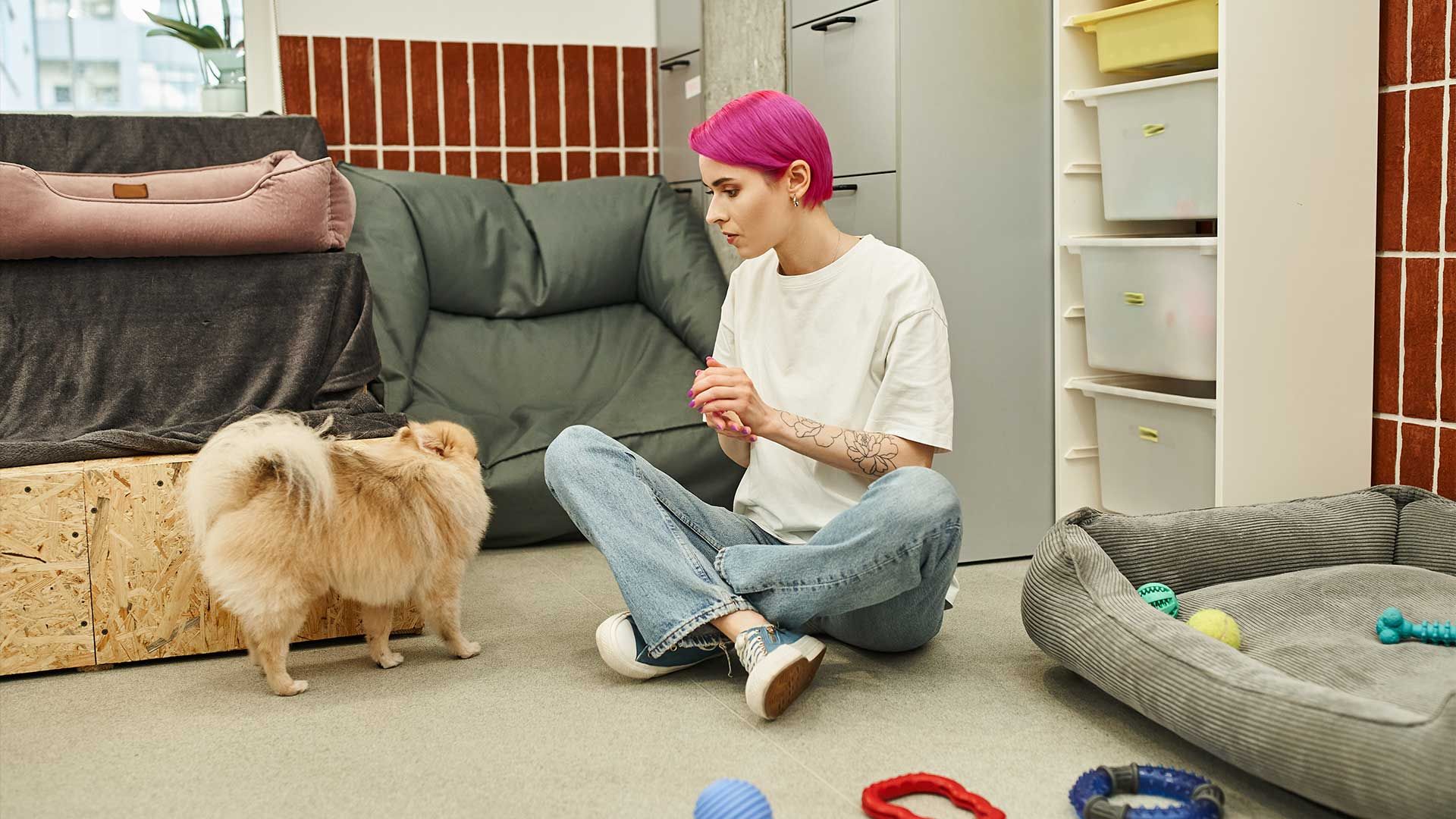 How Dog Boarding Can Ease Your Holiday Travel Stress