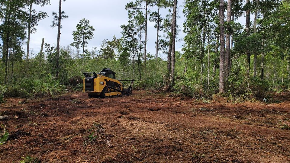 Land Clearing, Site Prep and Monster Mulching