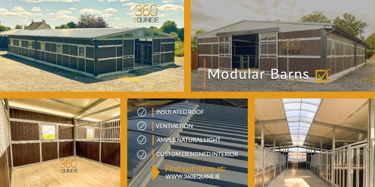 Modular Two Stall Barn