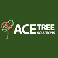 Tree Cutting Services | Ace Tree Solutions