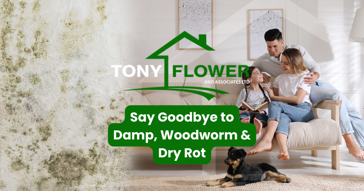 Tony Flower Damp Specialists | Protecting Properties from Water Damage