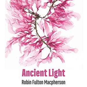 Poetry books | Modern Poetry | Classic Poetry | Poetry in Translation ...