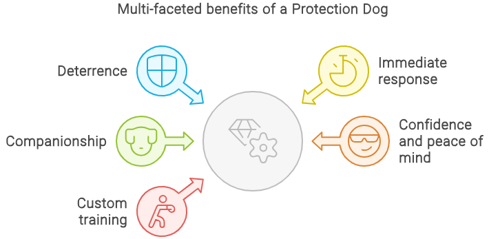 Why Metro Atlanta Needs Protection Dogs | Full Contact K9