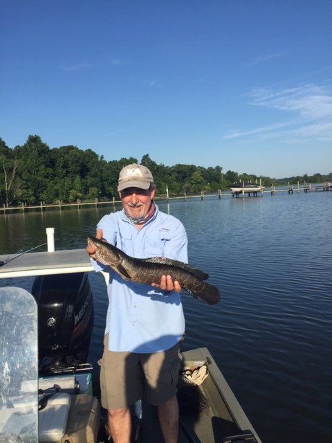 Fishing Guide | Fredericksburg, VA | Apex Fishing