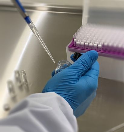 PhysChem Solutions During Early-stage Preclinical Development