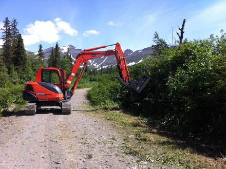 Tree Services in Anchorage and Mat-Su, AK | Greatland Tree Service
