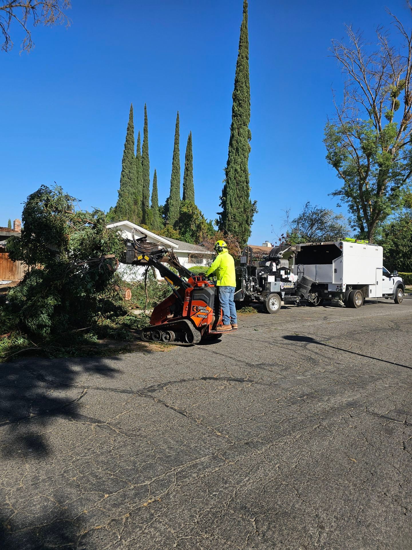 Tree Services | Anderson Tree Service | Merced