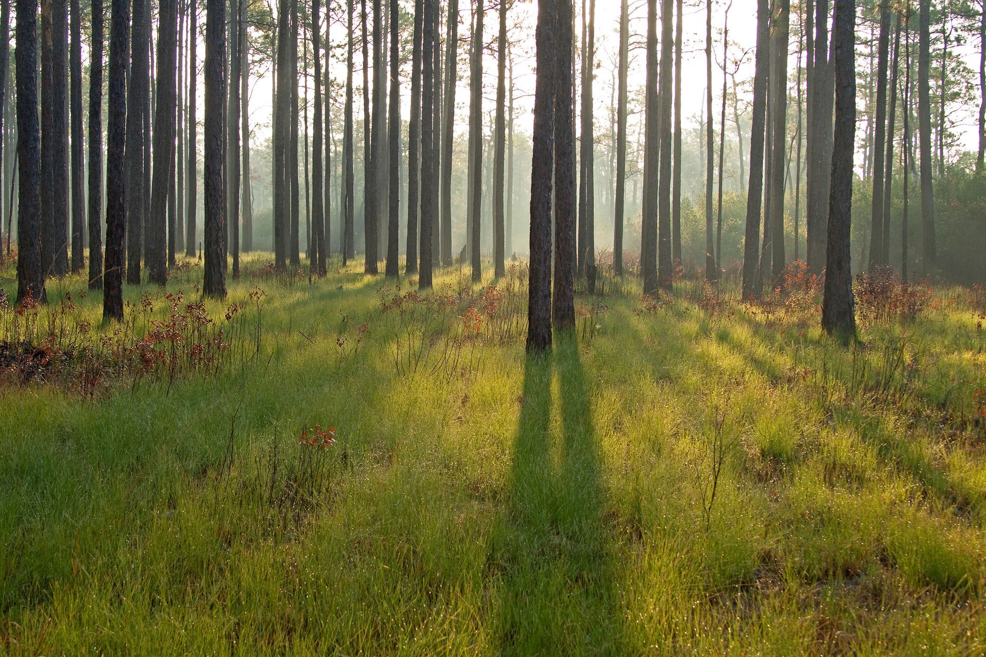 2016 Wetland Treasures