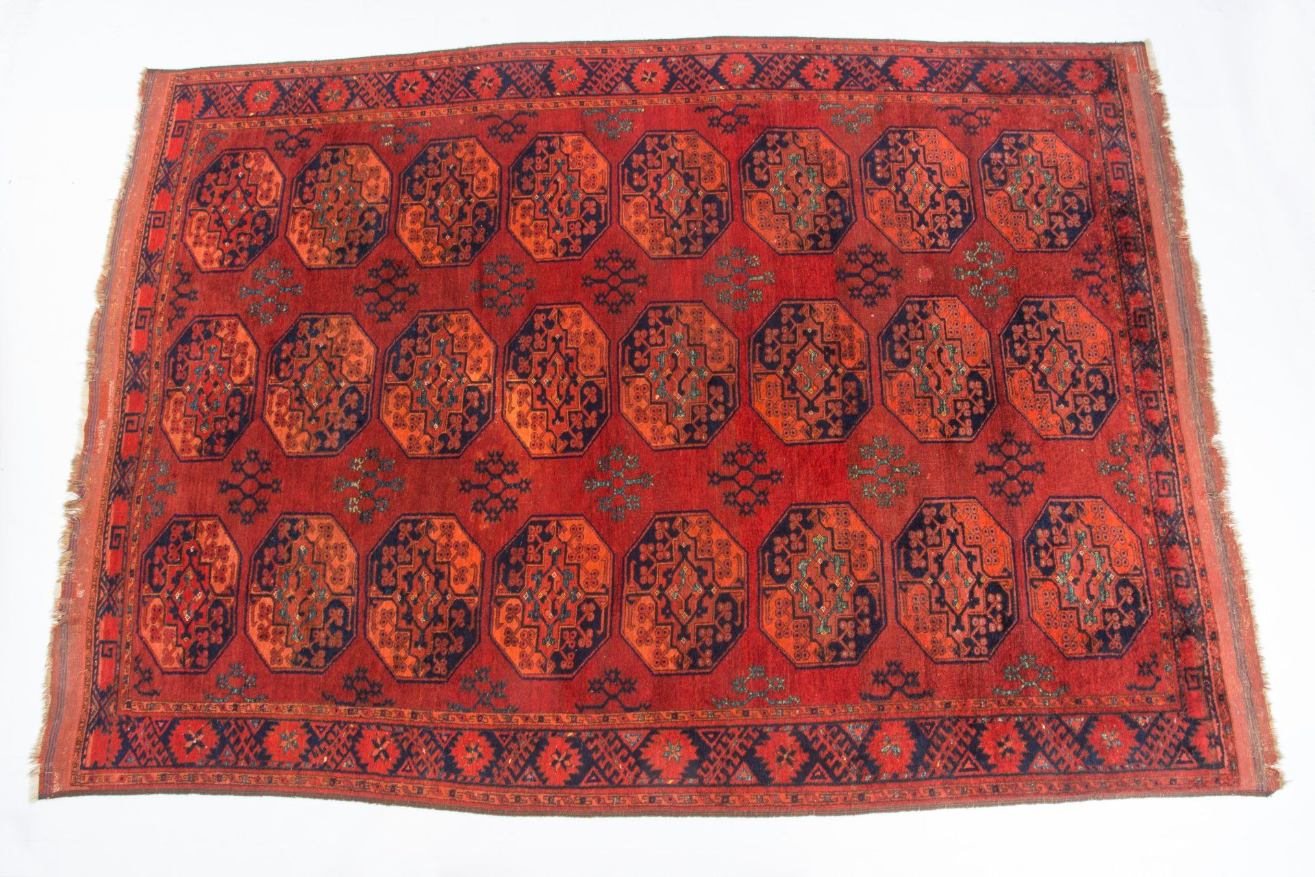 Tekke Turkoman