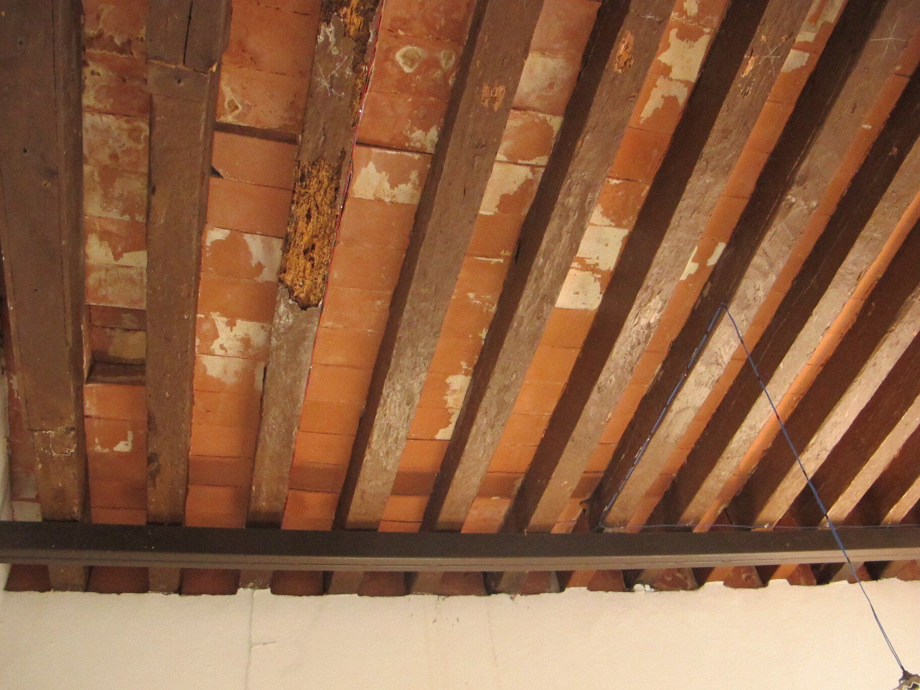 Madera Tratada | Sequoia: Preservar para conservar