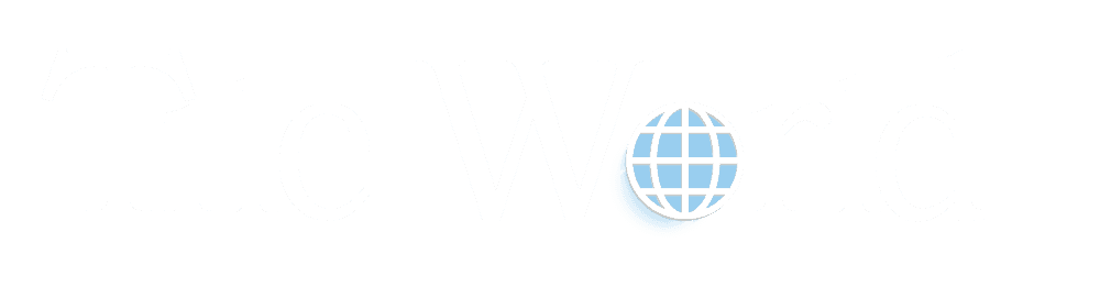 Tile World Wellington | Wide Range of Tiles