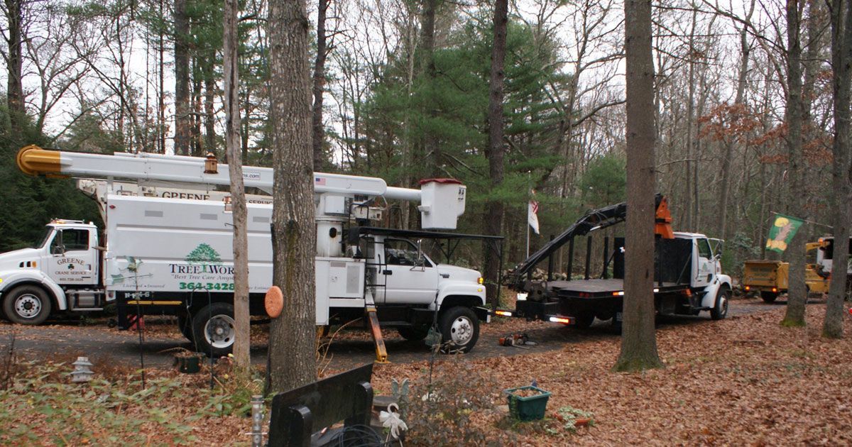 Tree Services – Charlestown, RI – Tree Works Unlimited