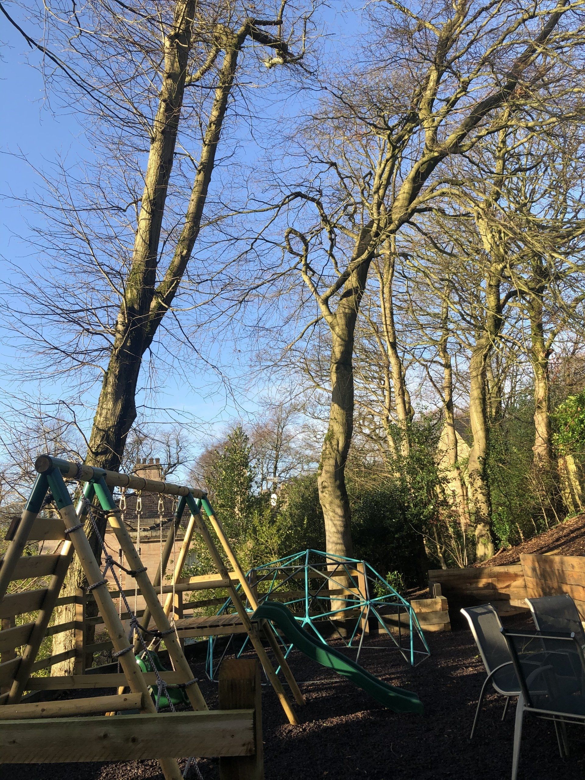 Urban Tree Management | Arboricultural Consultants