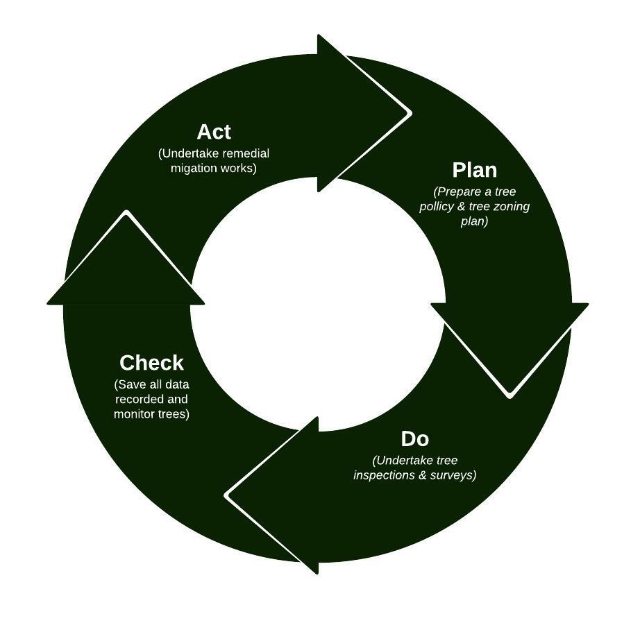 Tree Management Strategies & Safety Surveys | Urban Tree Management