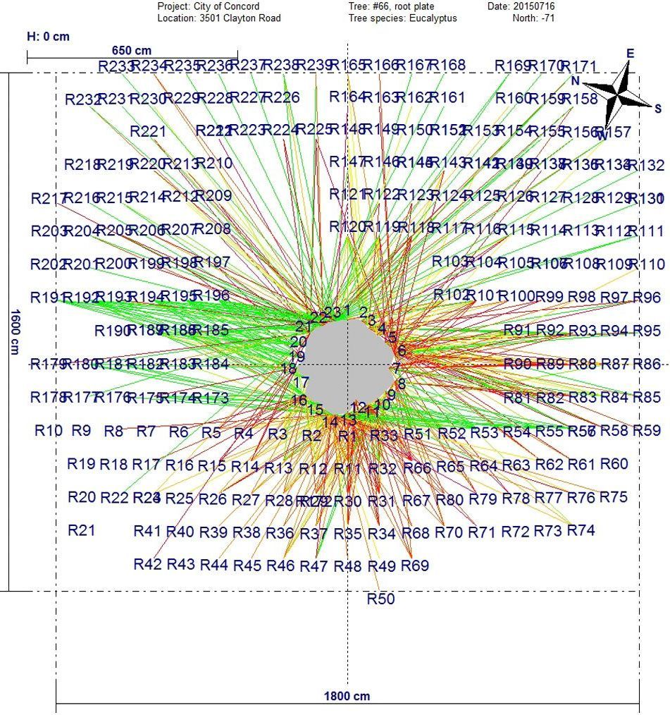 Tree Root & Root Plate Detection | Urban Tree Management
