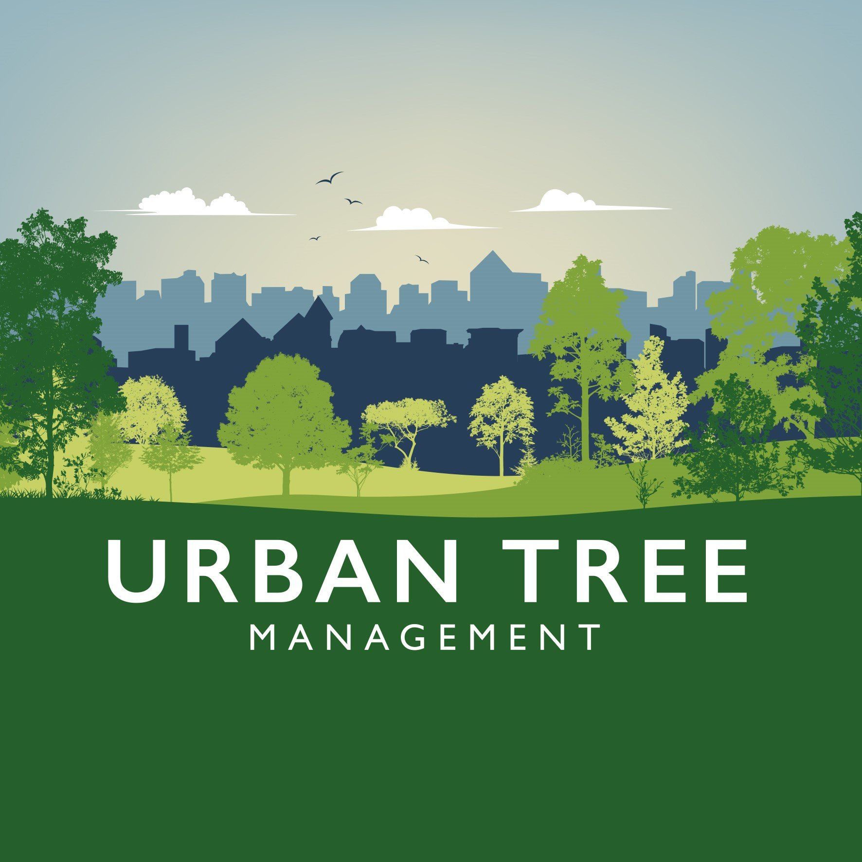 Tree Constraint Plans | Arboricultural Constraints Report | BS5837 Survey