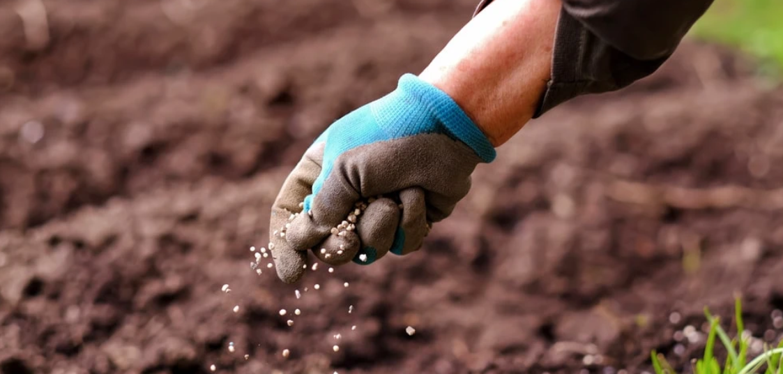 Monoammonium Phosphate (MAP) vs. Diammonium Phosphate (DAP): Choosing ...